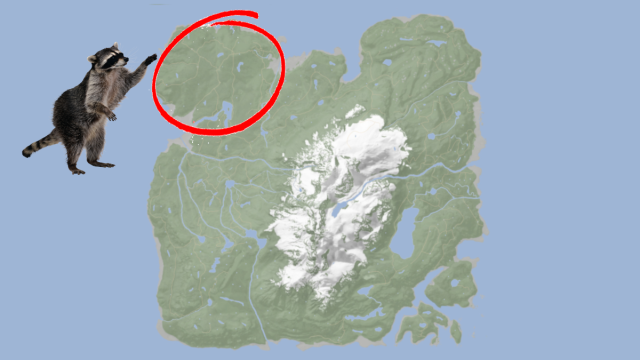 Where to find Raccoons in Sons of the Forest – Destructoid