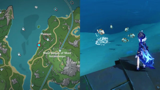 How to get Fleuve Cendre Ferryman in Genshin Impact – Destructoid