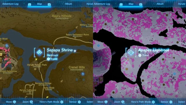 Hyrule Forest Park Chasm Lightroot location in Tears of the Kingdom