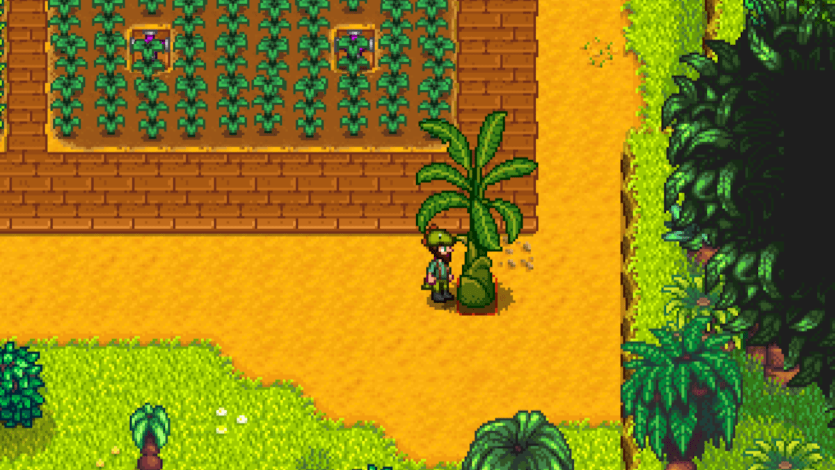 How to get high quality Fruit Tree saplings in Stardew Valley 1.6