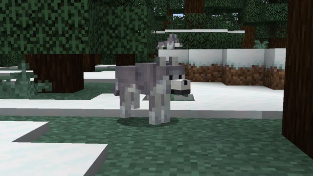 All new features in Minecraft dog update