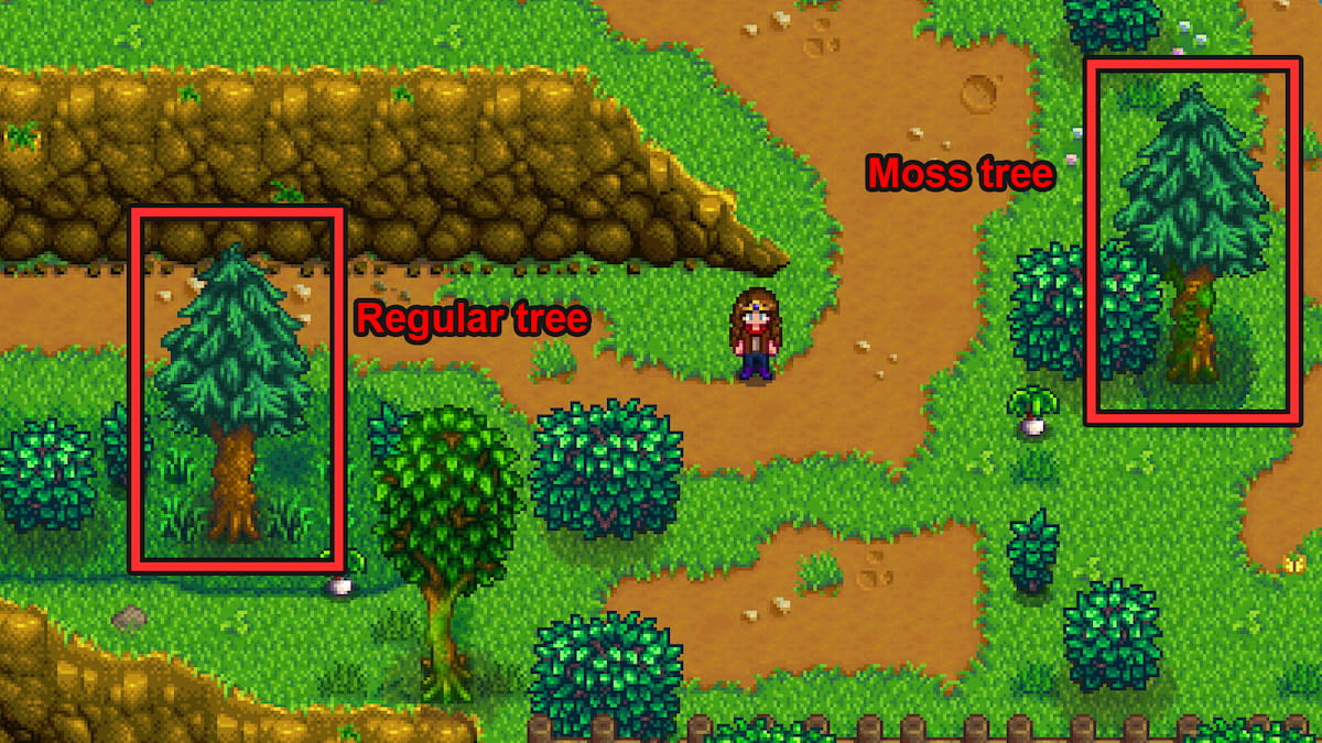 How to get moss in Stardew Valley 1.6