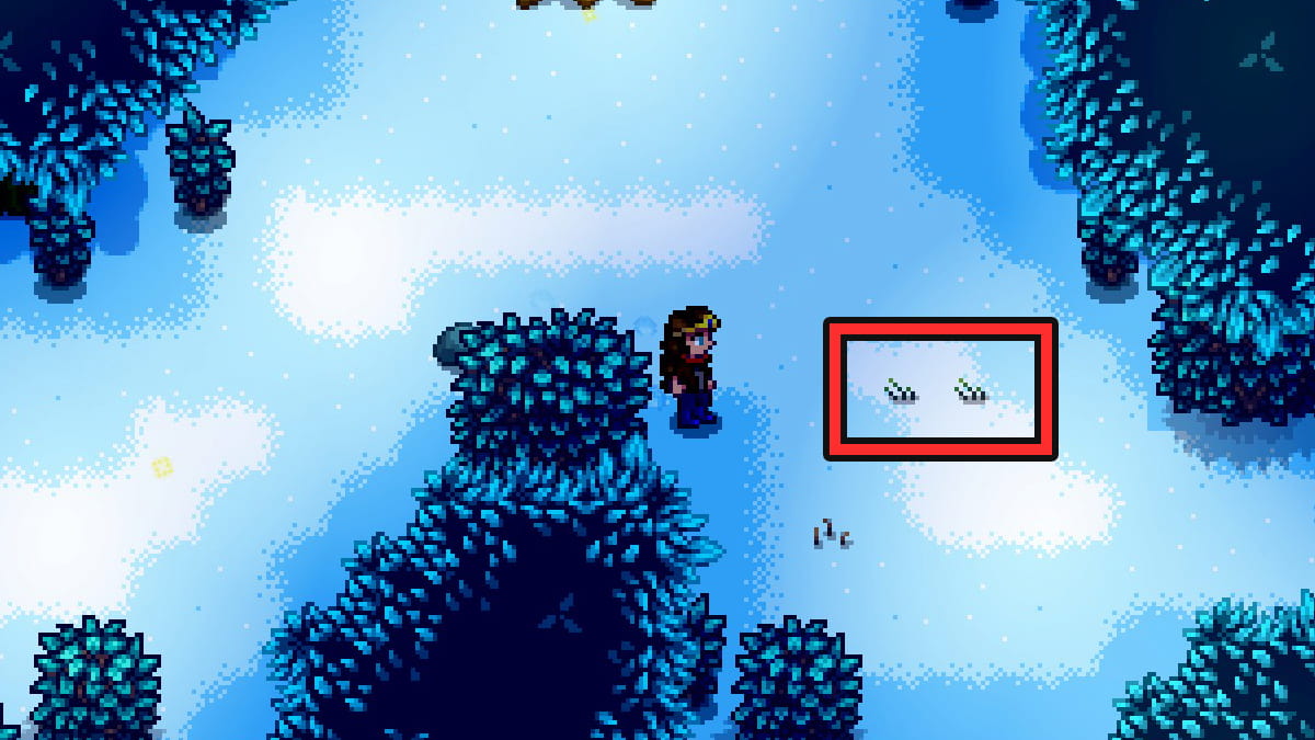 How to get Powdermelon and Powdermelon Seeds in Stardew Valley 1.6