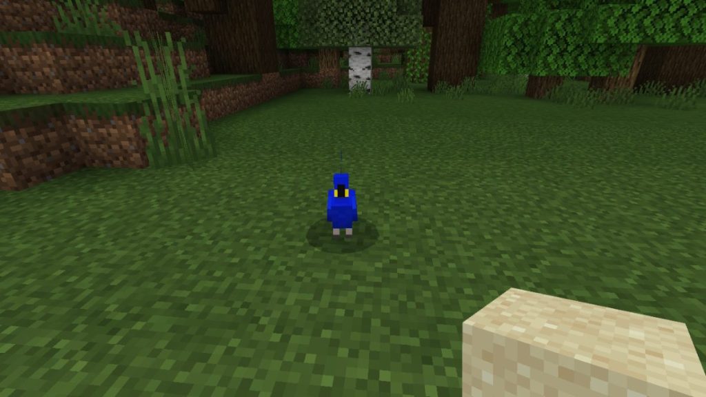 How to tame a parrot in Minecraft