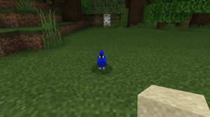 How to tame a parrot in Minecraft