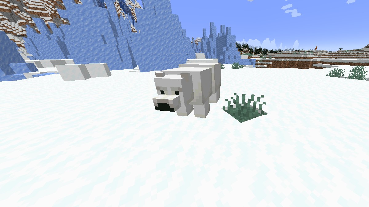 Can you tame polar bears in Minecraft?