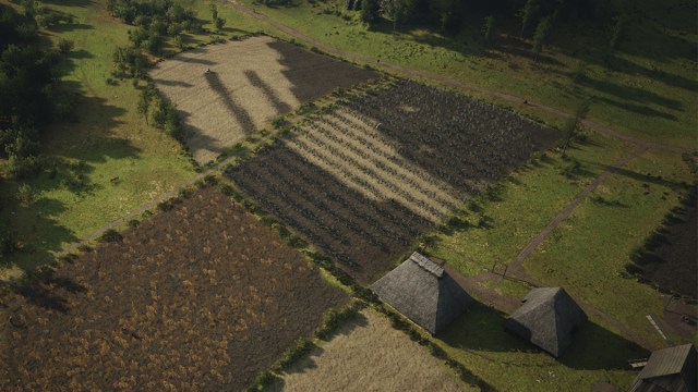 How to farm in Manor Lords