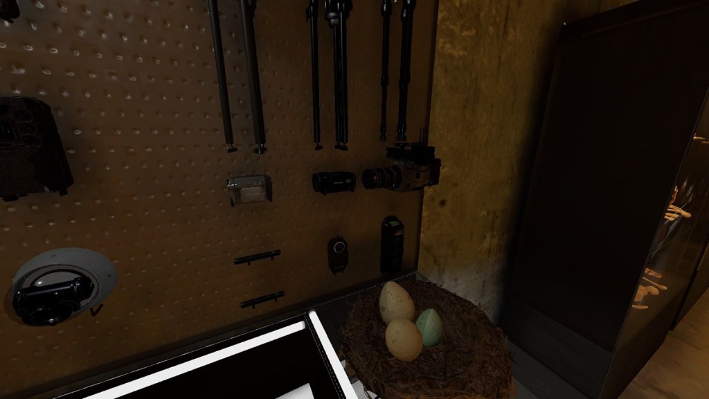 How to identify Ghost Orbs in Phasmophobia with the Video Camera