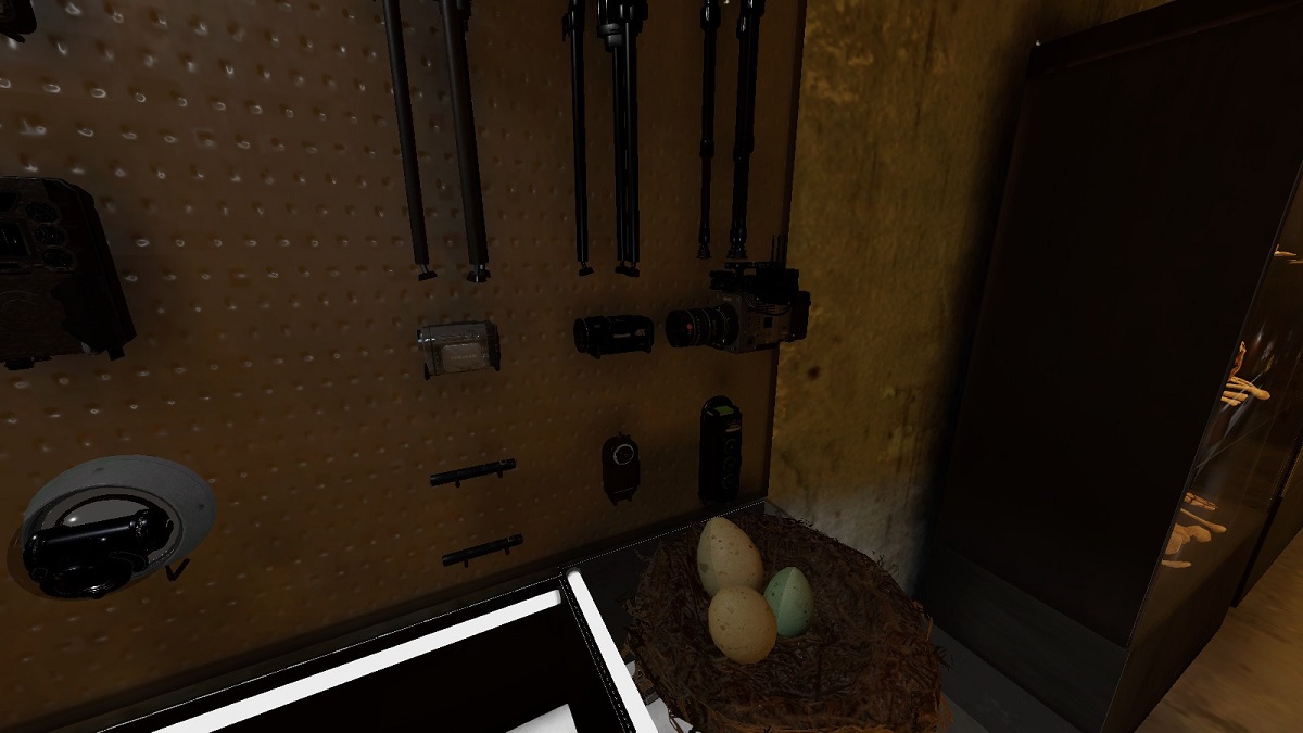 How to identify Ghost Orbs in Phasmophobia with the Video Camera