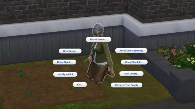How to age up in Sims 4
