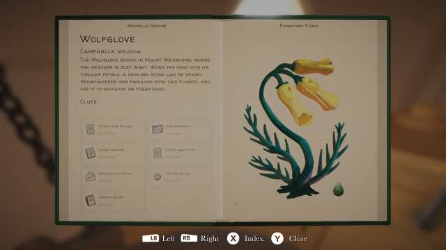 How to grow the Wolfglove in Botany Manor