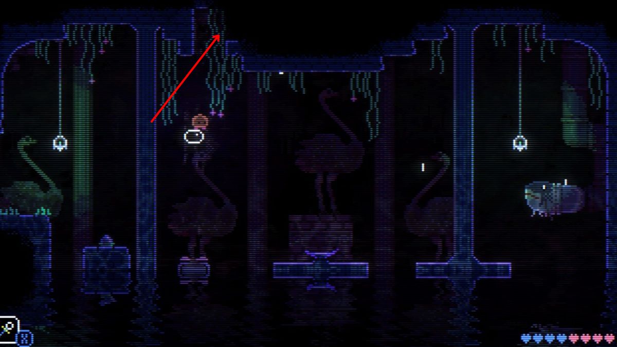 How to rescue all cats in Animal Well