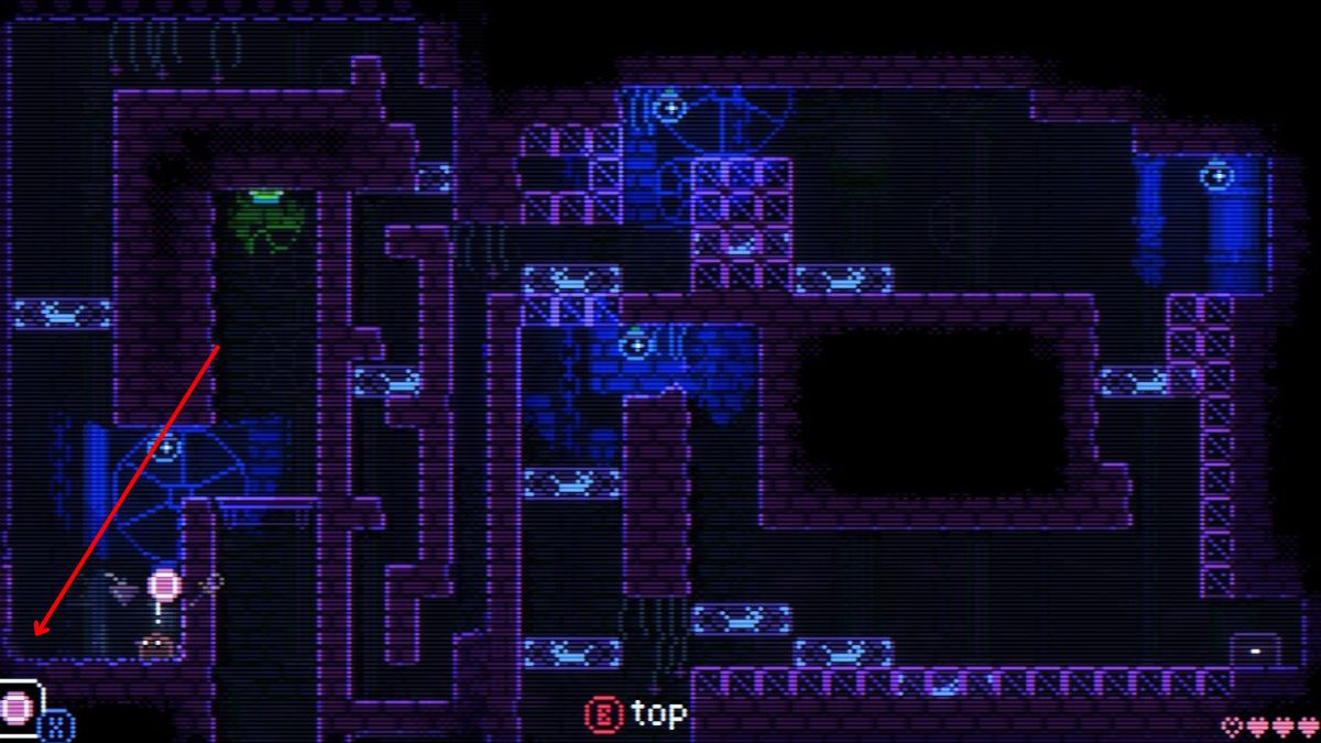 How to rescue all cats in Animal Well