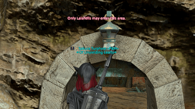 Final Fantasy XIV's updated Fantasia will finally unlock doors to ...