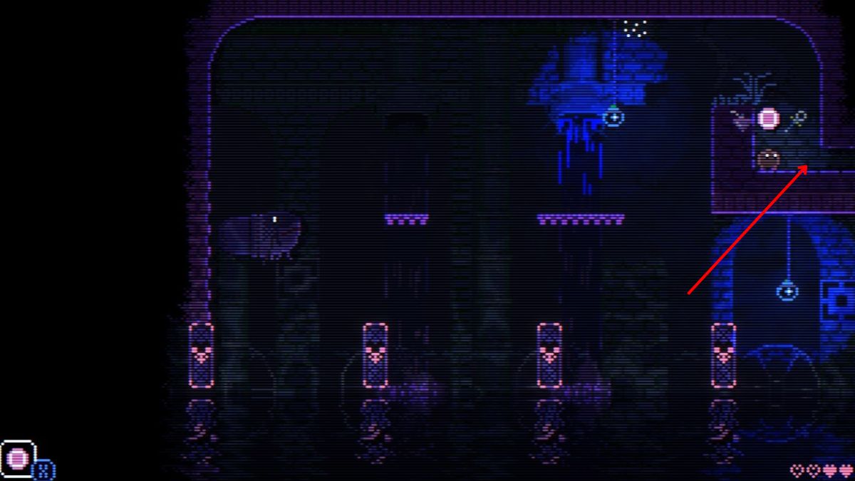 How to rescue all cats in Animal Well