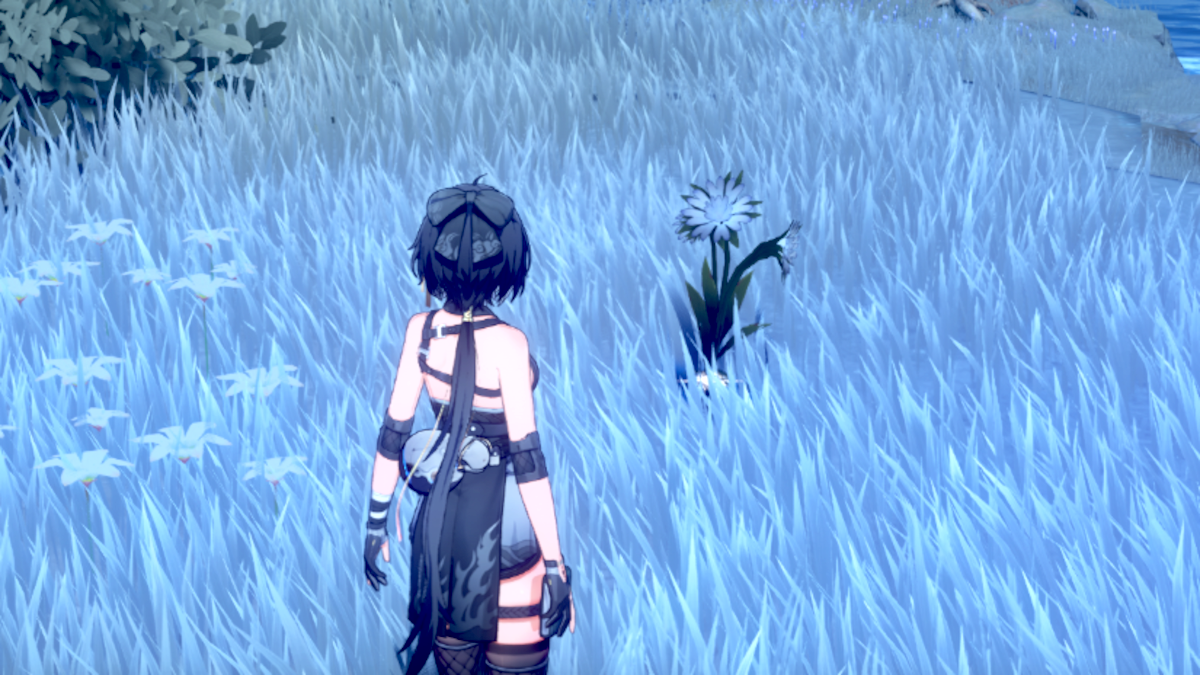 Where to find Wintry Bell in Wuthering Waves – Destructoid