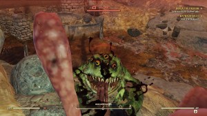 Where to find Radtoads in Fallout 76, all locations