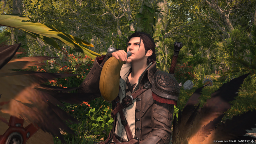 How to fix Final Fantasy XIV (FFXIV) Launcher Error - Unable to ...