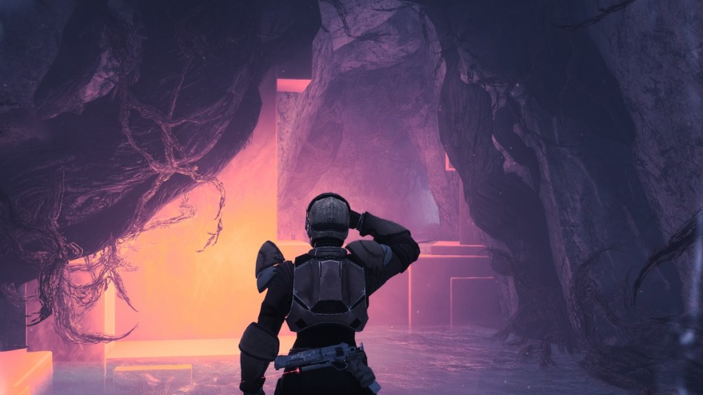 How to fix Destiny 2 error code Cat