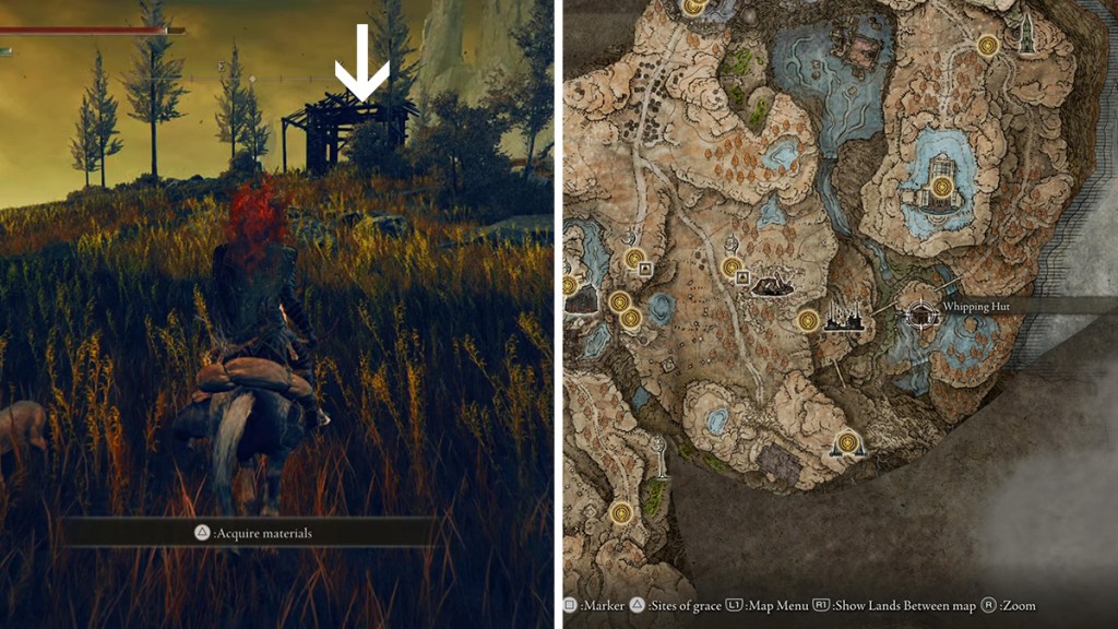 How to get and use the Tooth Whip in Elden Ring: Shadow of the Erdtree