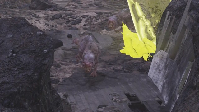 Where to find Mole Rats in Fallout 76, all locations – Destructoid