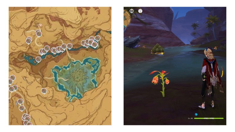 Where to find Mourning Flower in Genshin Impact