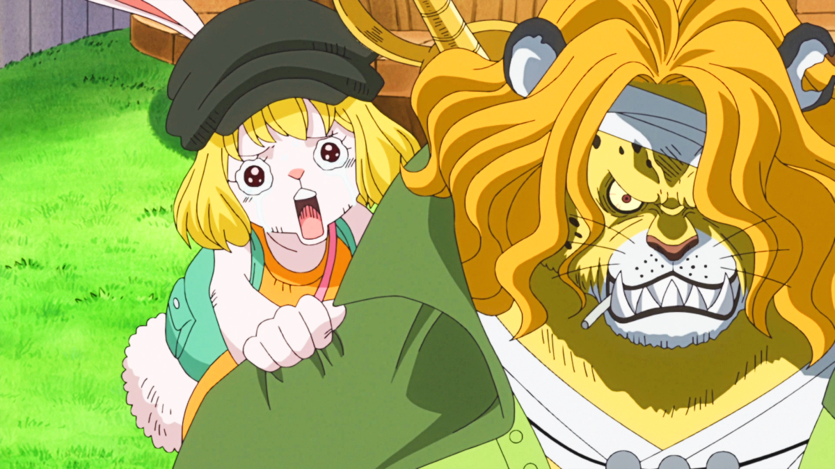 Every race in One Piece, explained – Destructoid