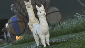 How to get Alpaca Cria minion in FFXIV Dawntrail