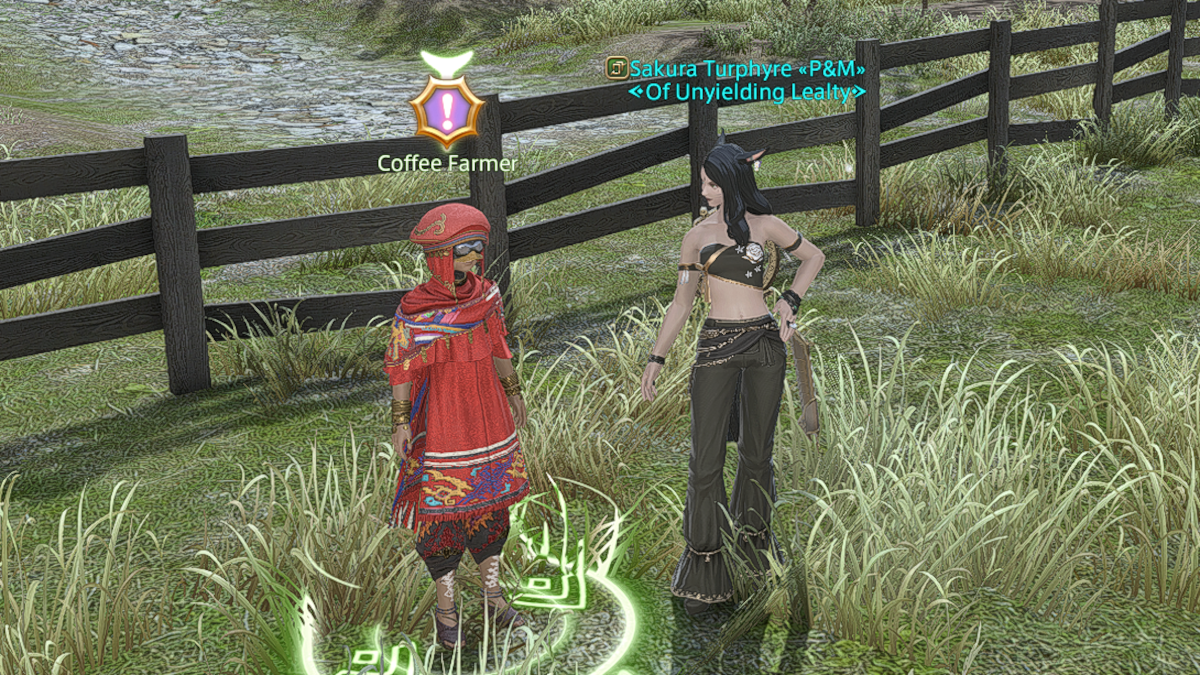 FFXIV Dawntrail: Urqopacha Bicolor Gemstones, all vendors and ranks ...