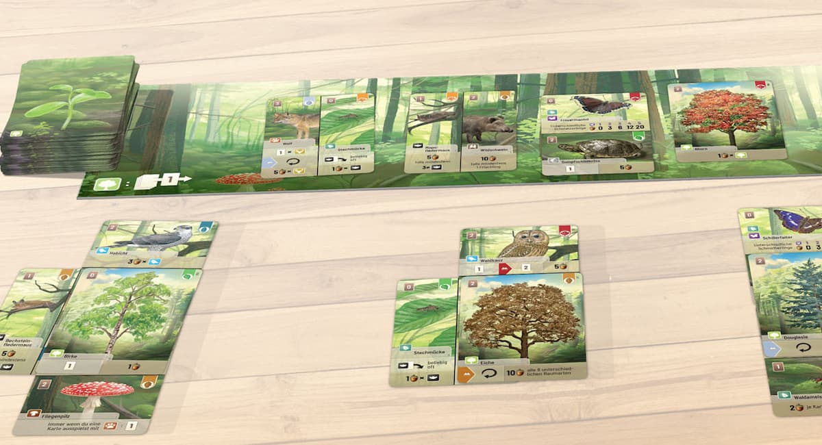 10 Outstanding Board Games for Beginners to Play in 2024 – Destructoid