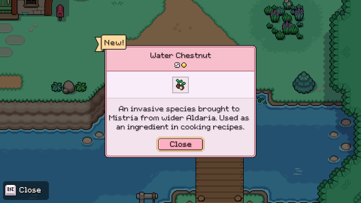 How to get Water Chestnuts in Fields of Mistria