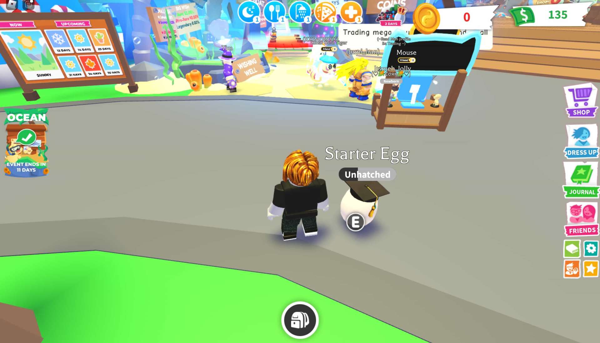 Adopt Me! (Roblox) Cranky's Crazy Currents event: Wishing Well, new ...