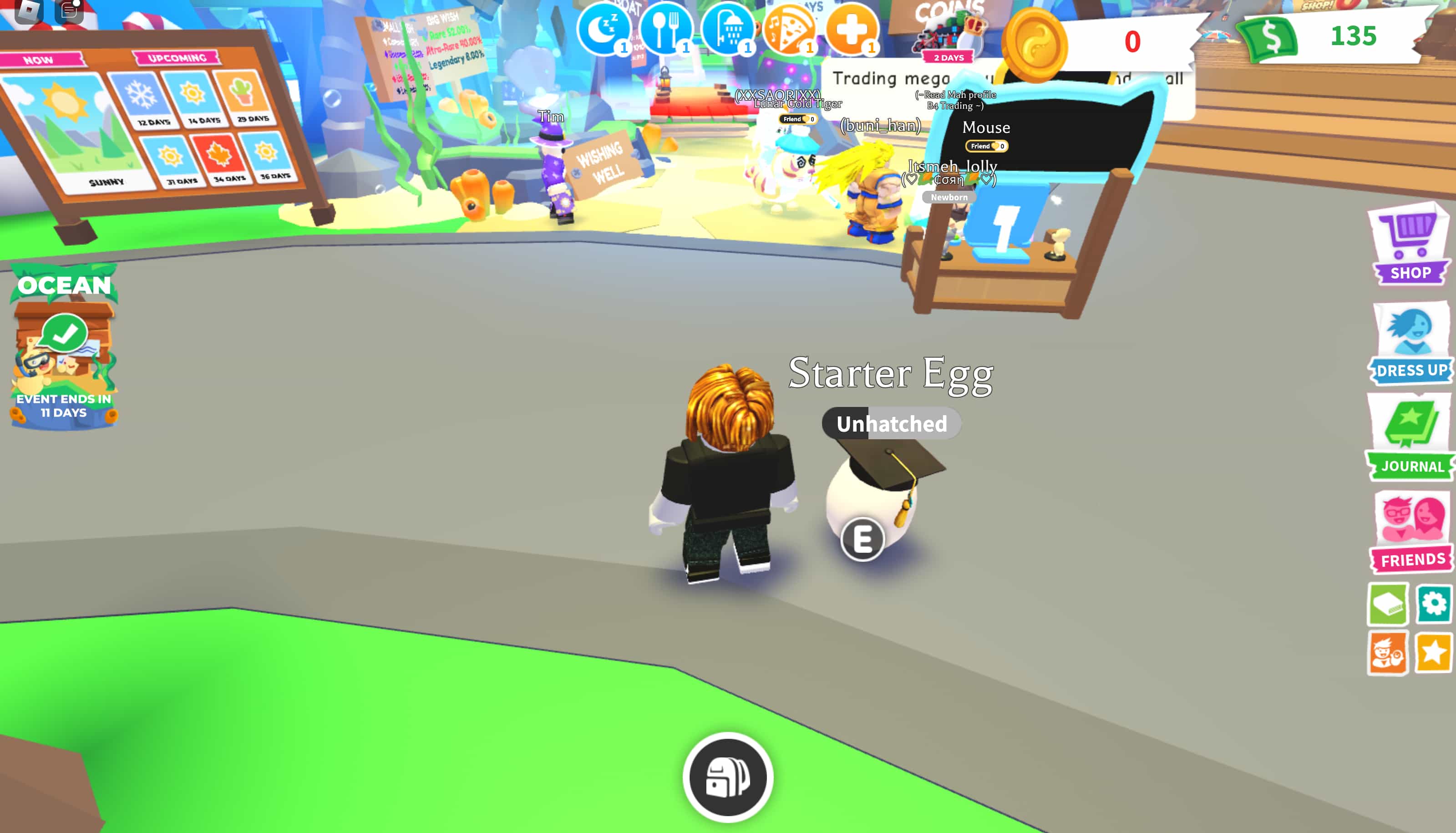 Adopt Me! (Roblox) Cranky's Crazy Currents event: Wishing Well, new ...