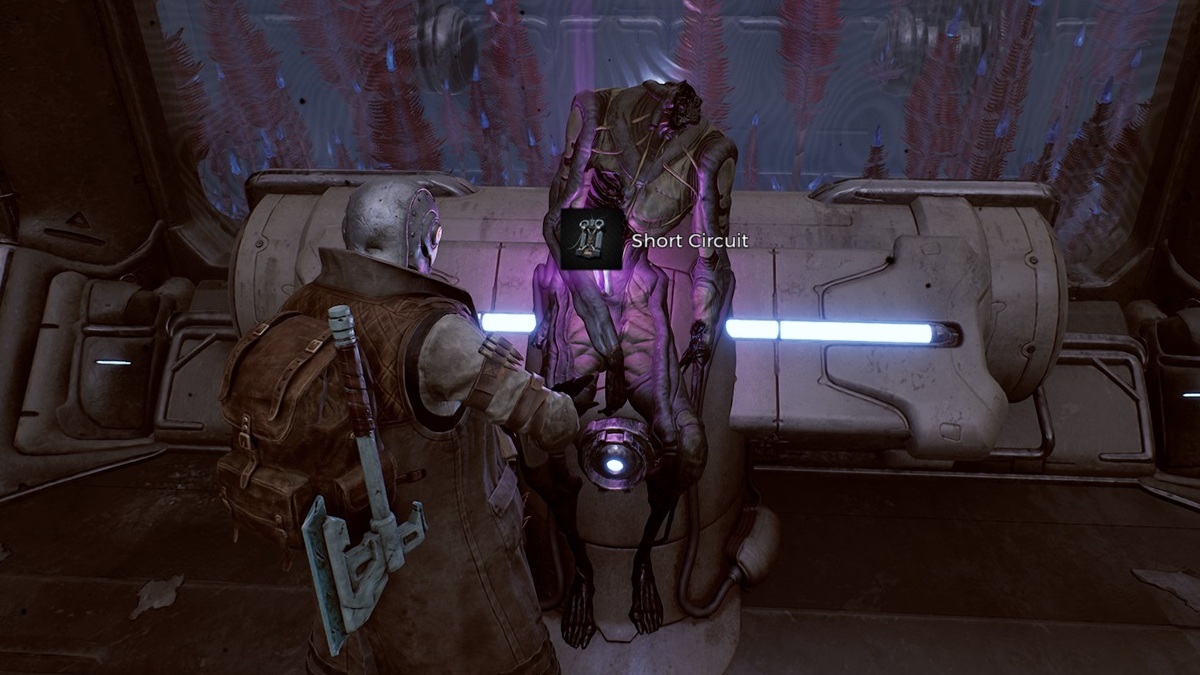 How to open secret doors in Remnant 2: The Dark Horizon's Mucid ...