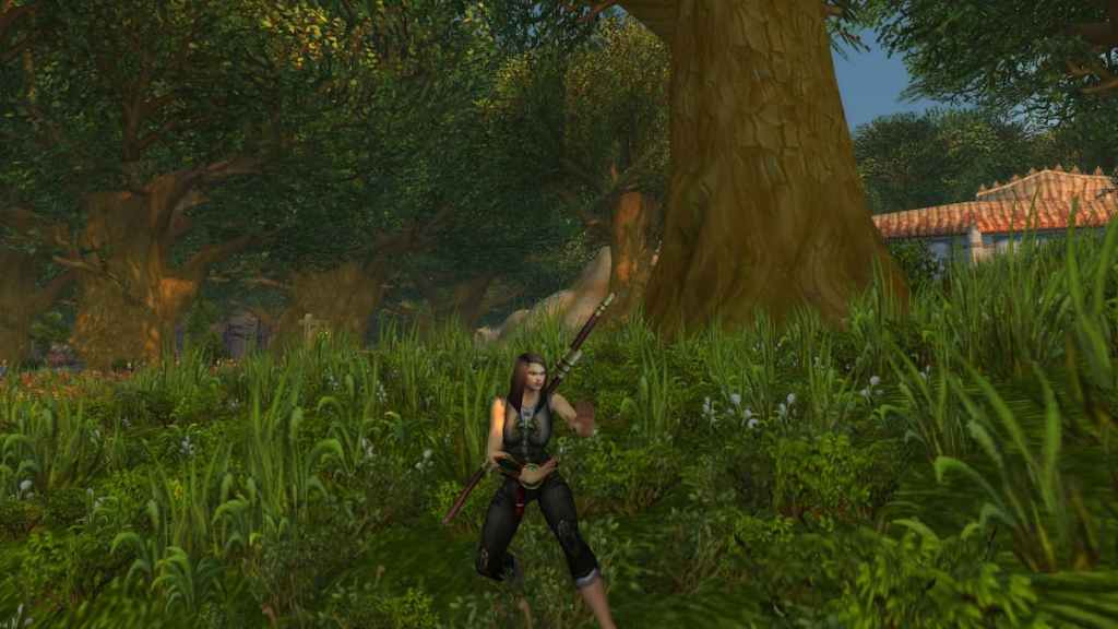 Best Monk Race in WoW: The War Within – Destructoid