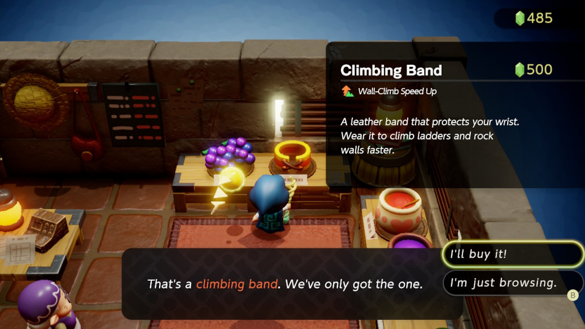 Zelda Echoes of Wisdom: All accessories and how to get them – Destructoid