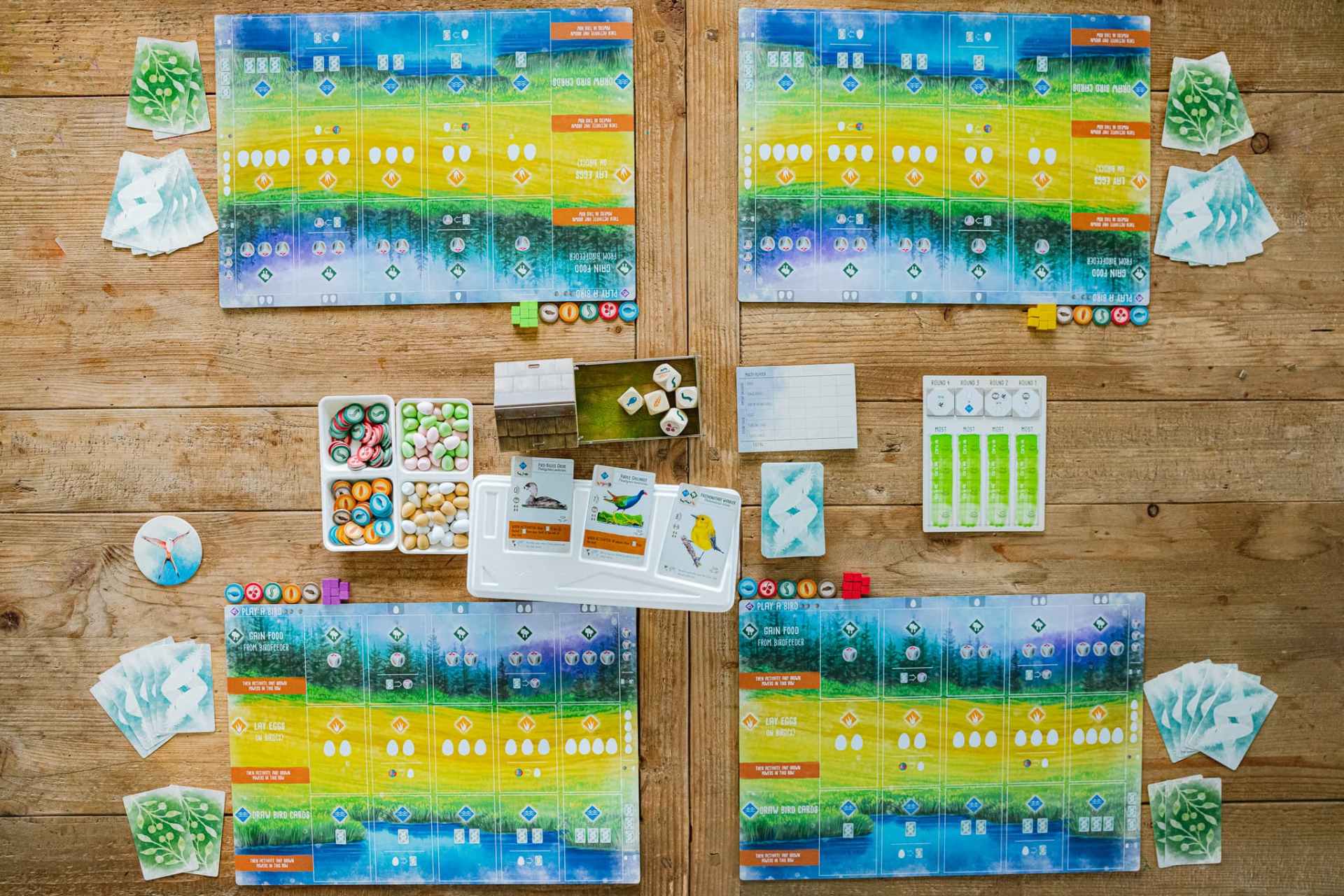 The 12 Most Popular Board Games For All Players in 2024 – Destructoid