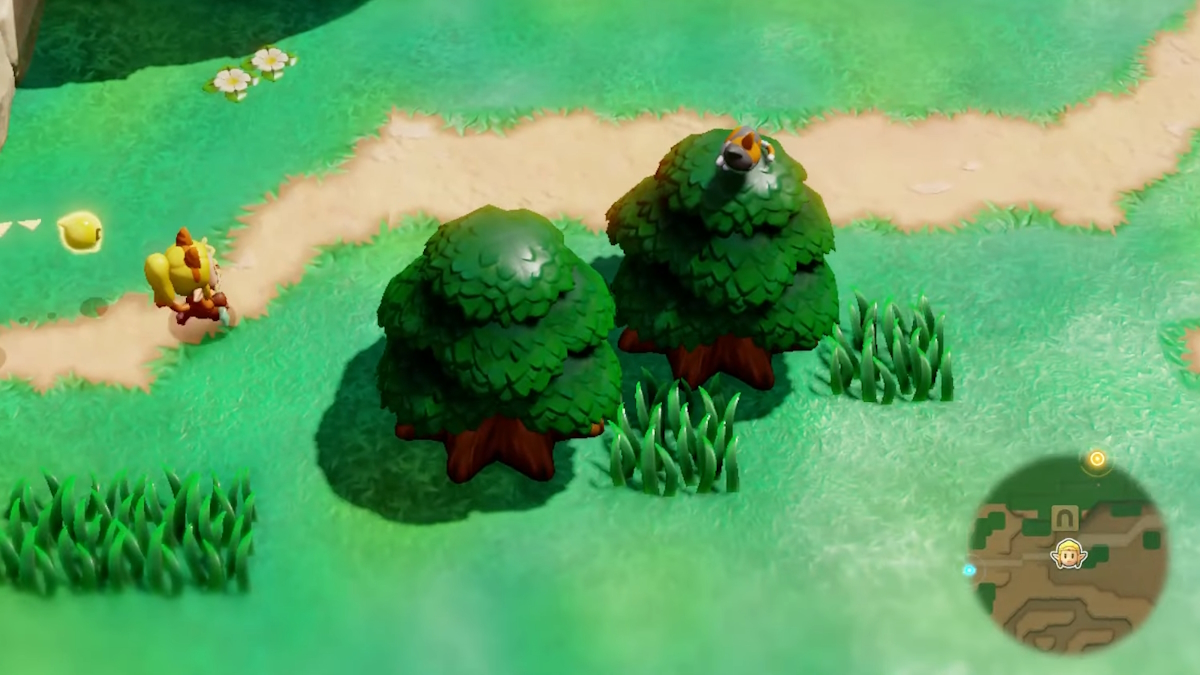 How to complete Questioning the Local Cats quest in Zelda Echoes of ...