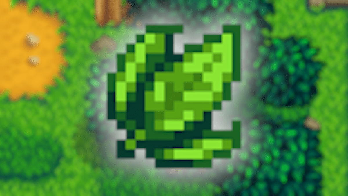 How to get a Tea Sapling in Stardew Valley – Destructoid