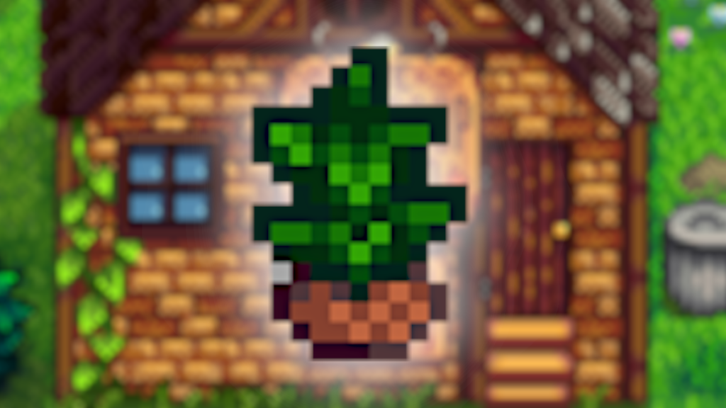 How to get a Tea Sapling in Stardew Valley – Destructoid