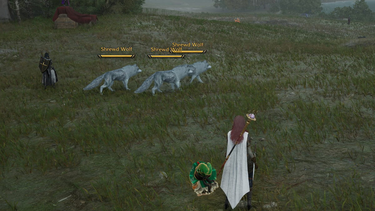 Throne and Liberty Wolf Hunting Contest guide: Event schedule, wolf ...