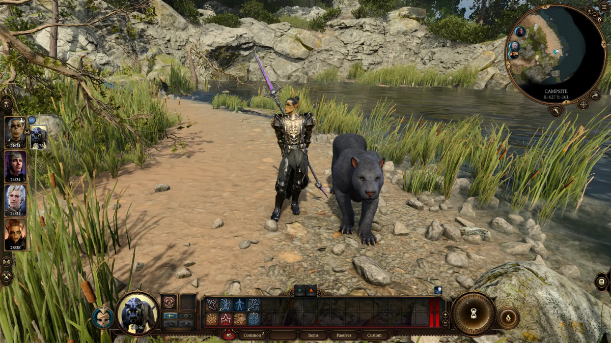 10 best Baldur's Gate 3 companion mods – Destructoid