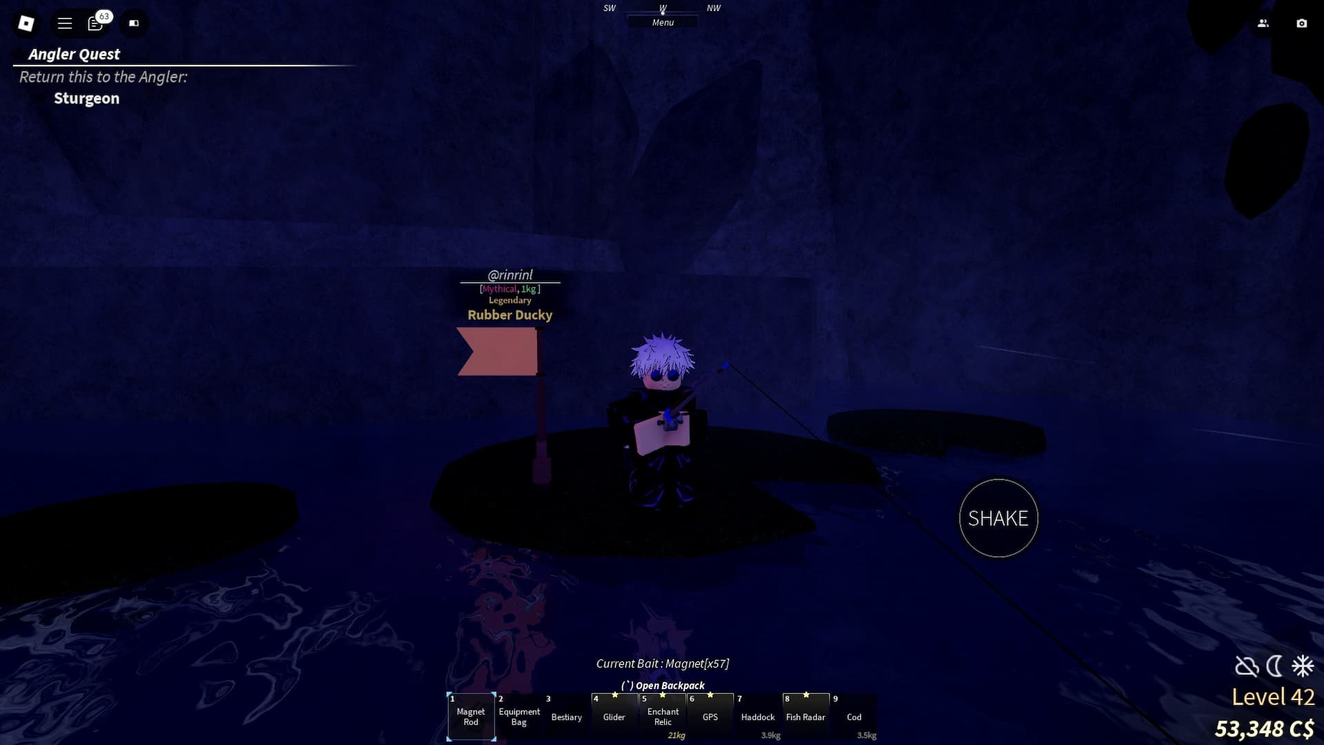 Complete Fisch Vertigo Guide - How to Enter, The Depths, Aurora Rod ...