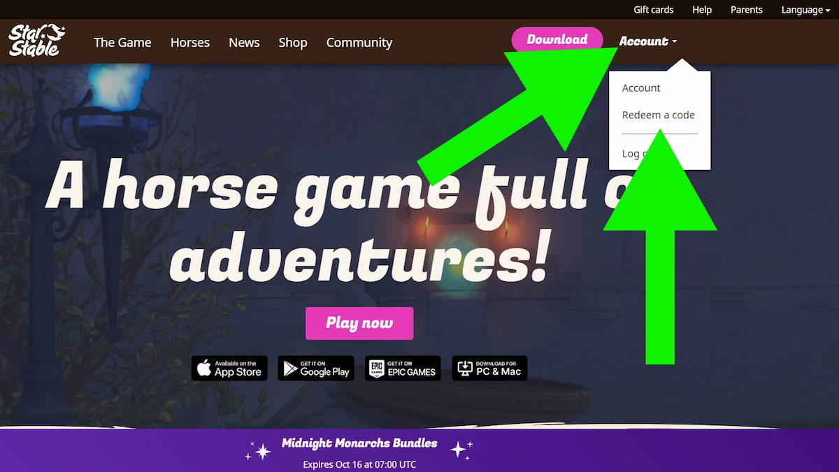 Star Stable codes (October 2024) – Destructoid