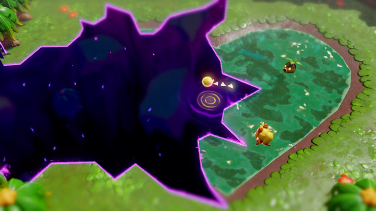 All Still World Rifts in Zelda Echoes of Wisdom – Destructoid