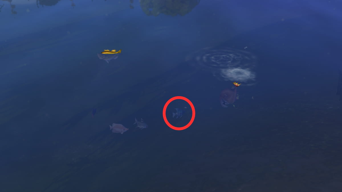 How to find and catch Angelfish in The Sims 4 – Destructoid