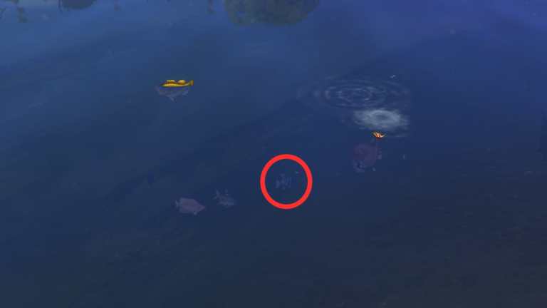 How to find and catch Angelfish in The Sims 4 – Destructoid
