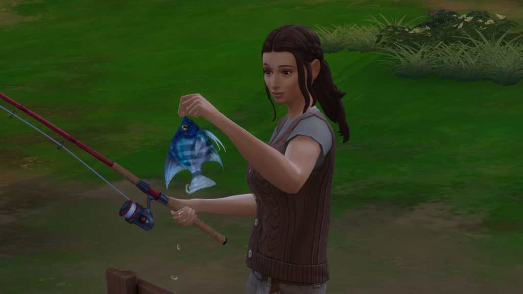 How to find and catch Angelfish in The Sims 4 – Destructoid