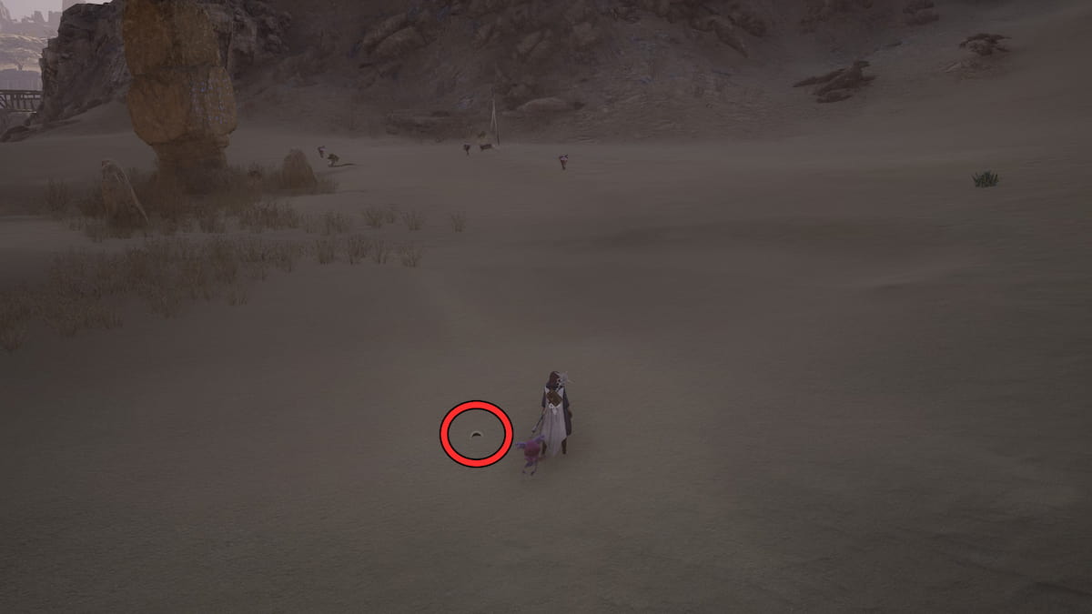 All Resistance Emblem locations in Throne and Liberty: Keepsakes in the ...