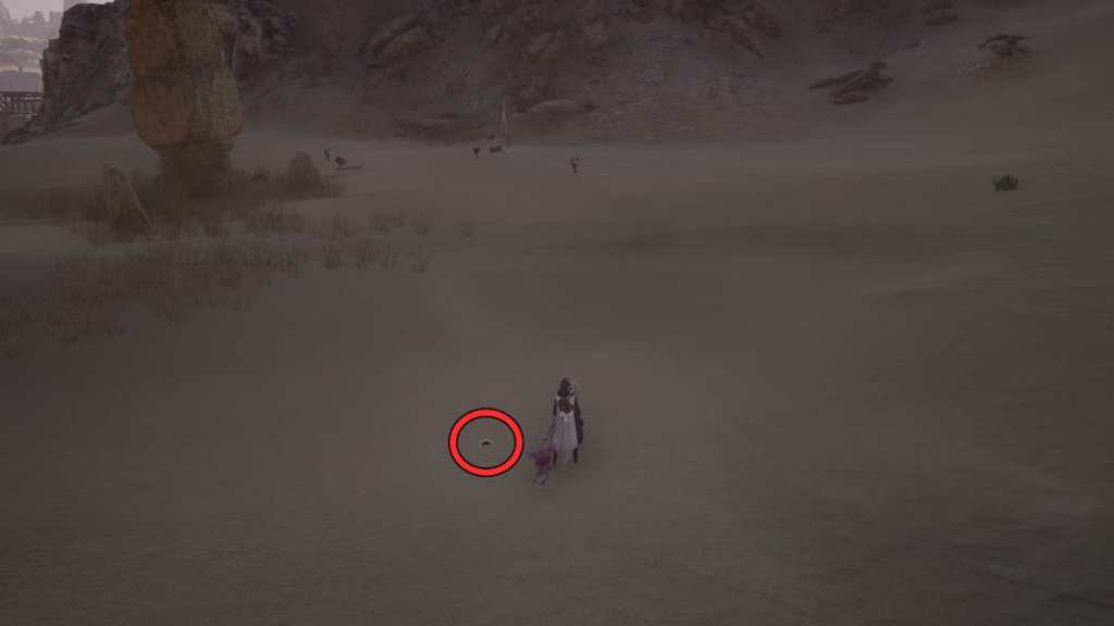 All Resistance Emblem locations in Throne and Liberty: Keepsakes in the ...